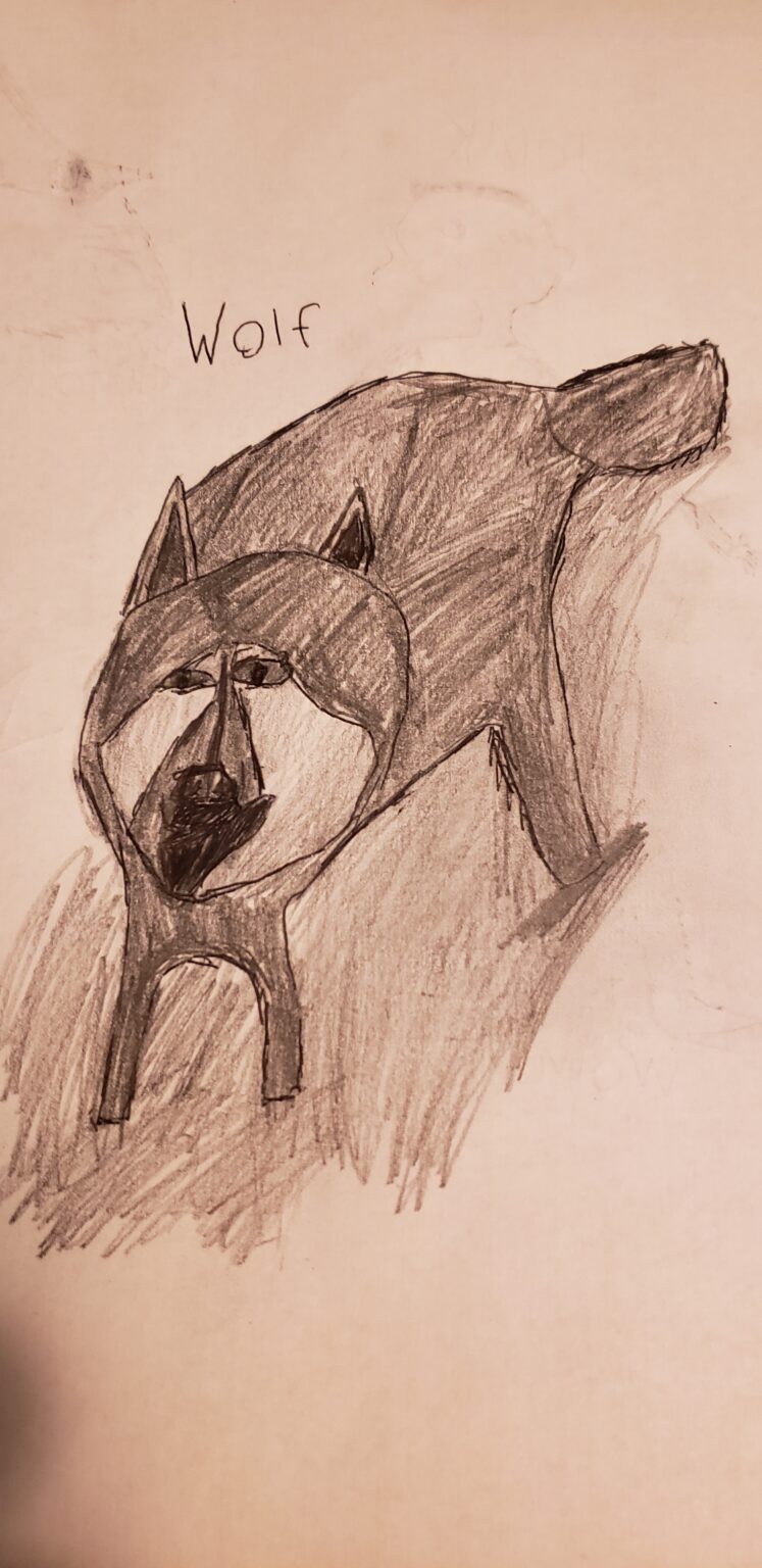 The Clans’ Museum – Wolf Brother