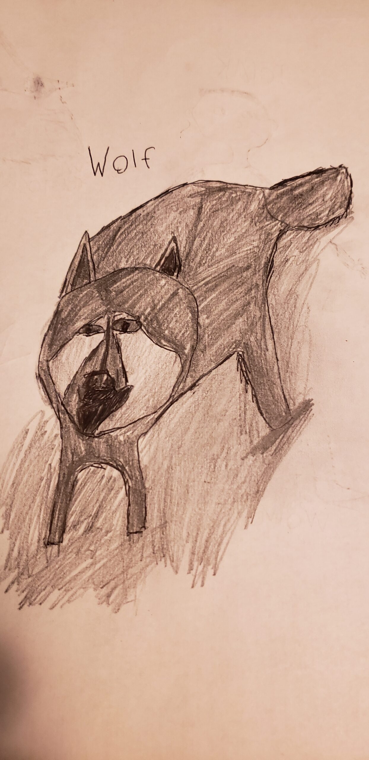 The Clans’ Museum – Wolf Brother