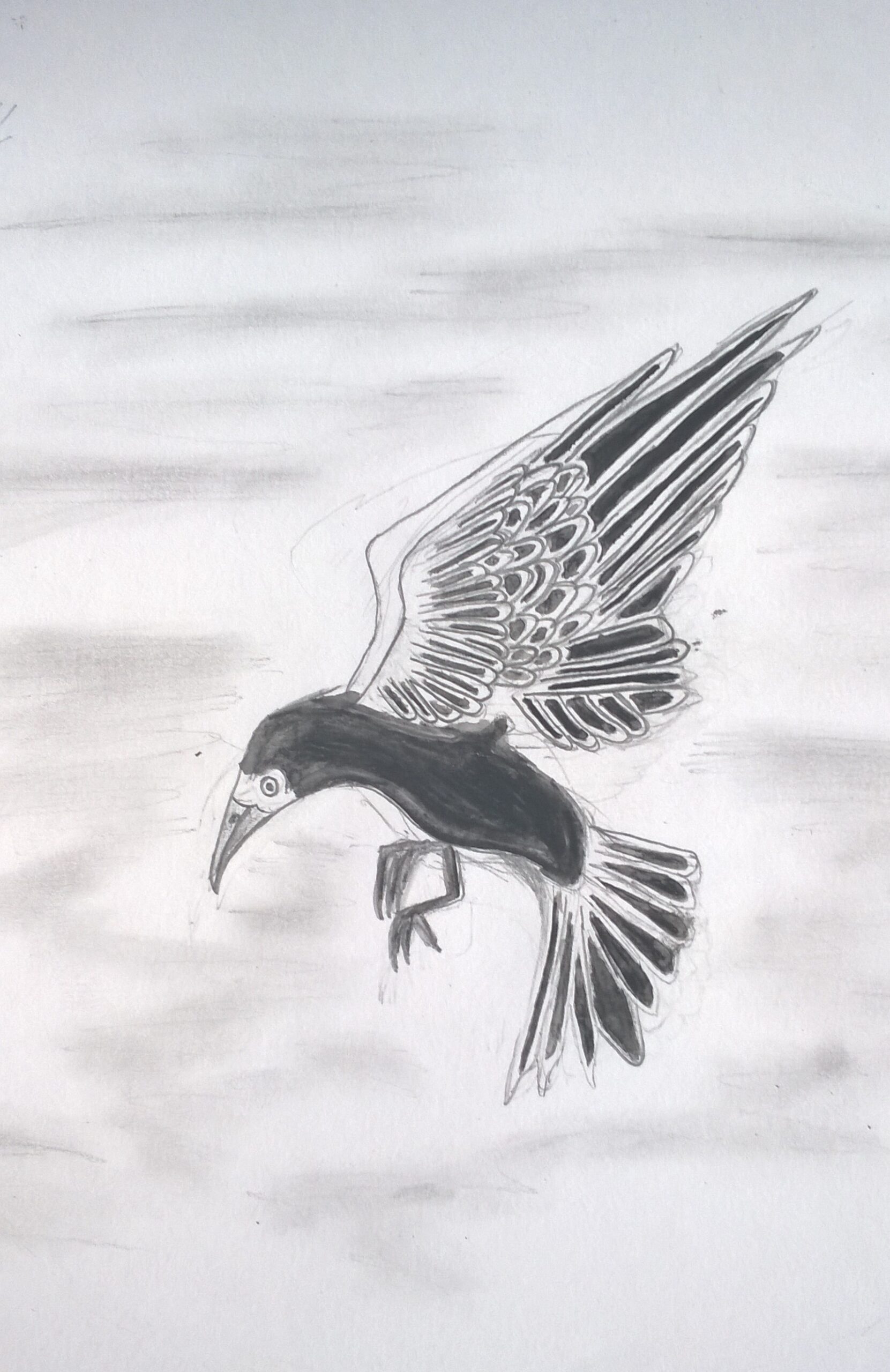 Crow/raven/rook by Kangchenjunga – Wolf Brother